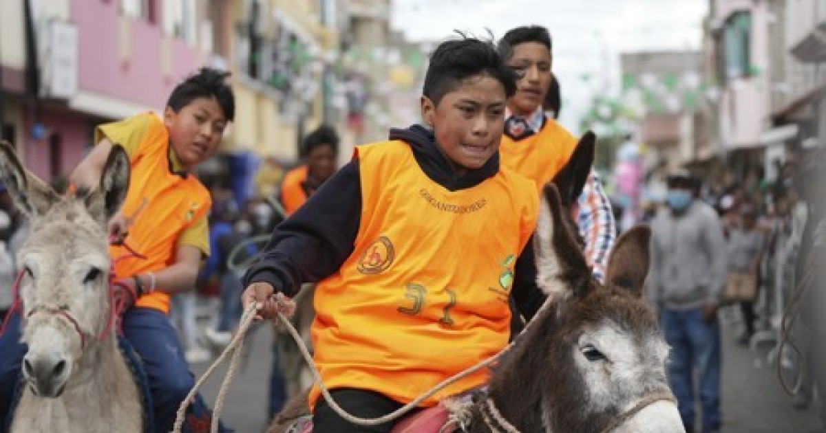 APTOPIX Ecuador Donkey Competition