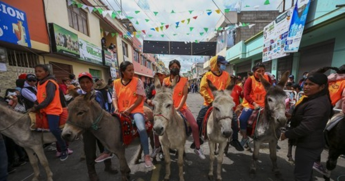 ECUADOR DONKEYS RACE