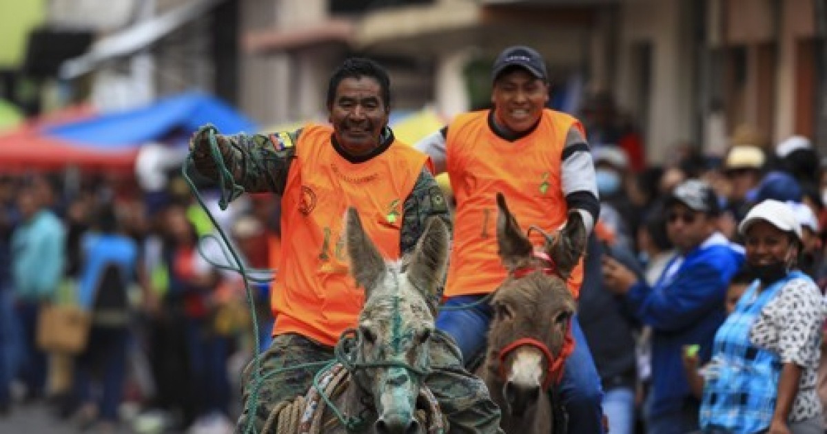 ECUADOR DONKEYS RACE