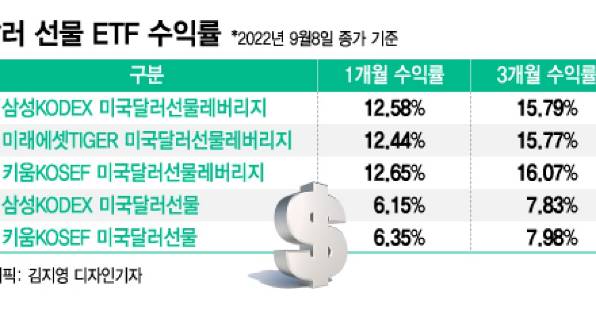 천장 뚫린 원·달러 환율.. 날개 단 달러 ETF '40% 껑충'