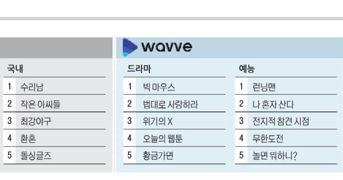 OTT 분야별 TOP5