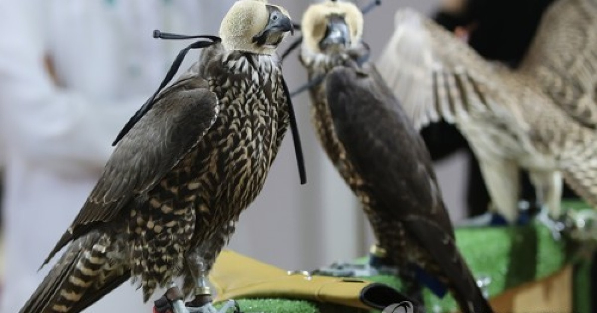 UAE INTERNATIONAL HUNTING AND EQUESTRIAN EXHIBITION