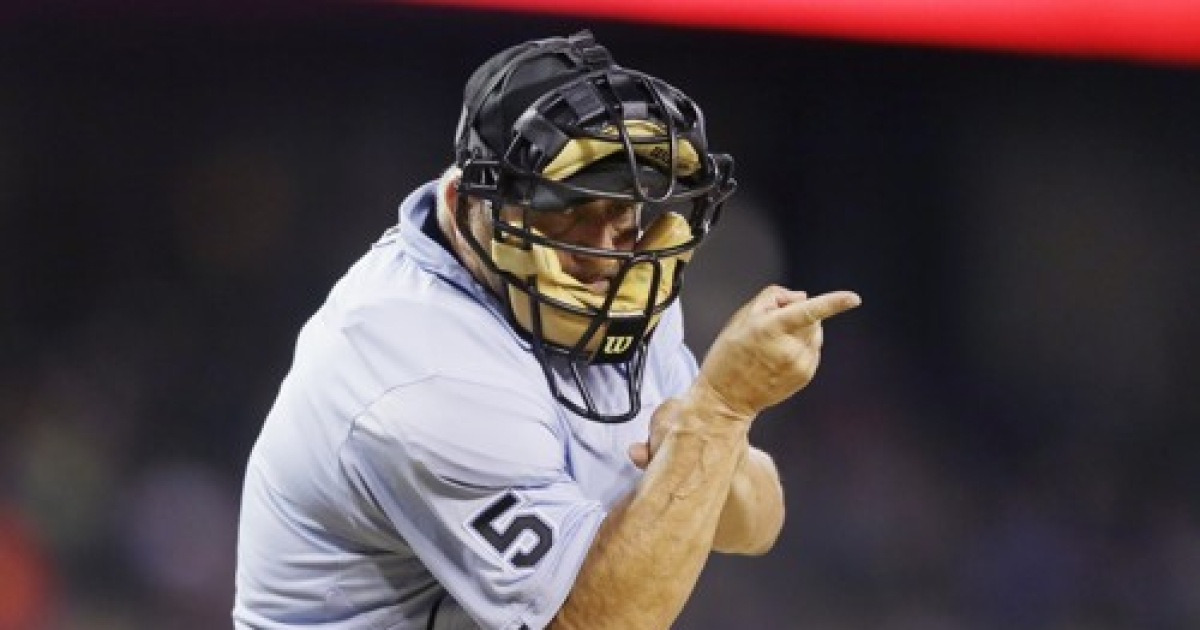 The Umpires Voice Baseball