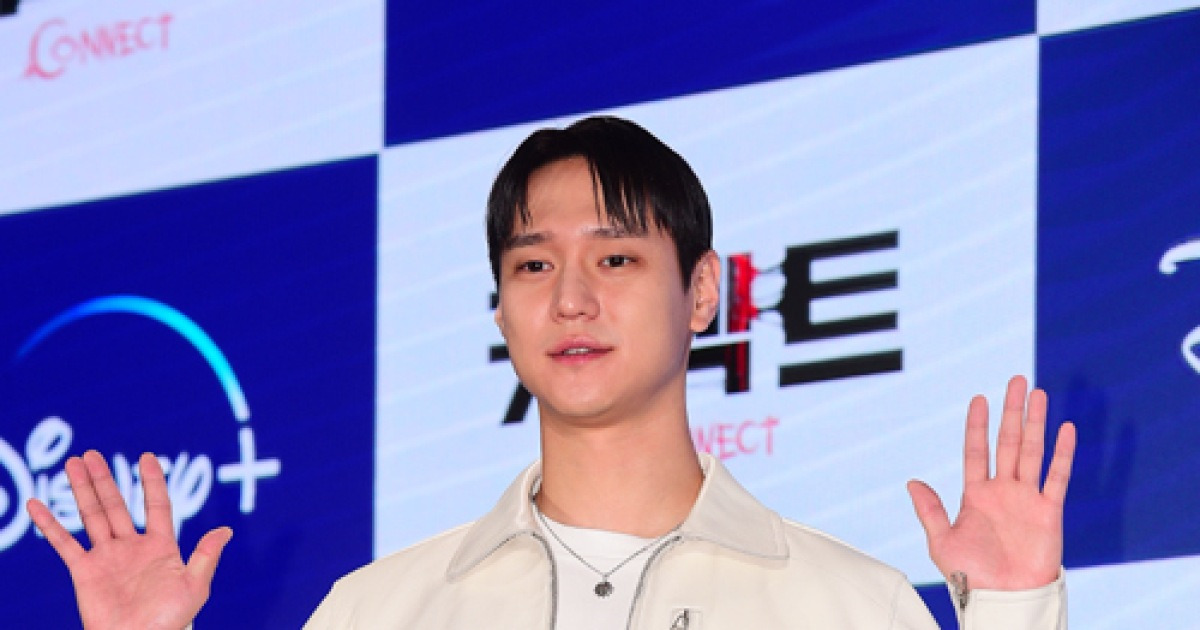 "'헌신' 정해인·'지각' 고경표" [BIFF](MD현장 종합)