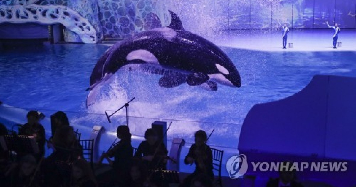 RUSSIA MOSCOW OCEANARIUM SHOW