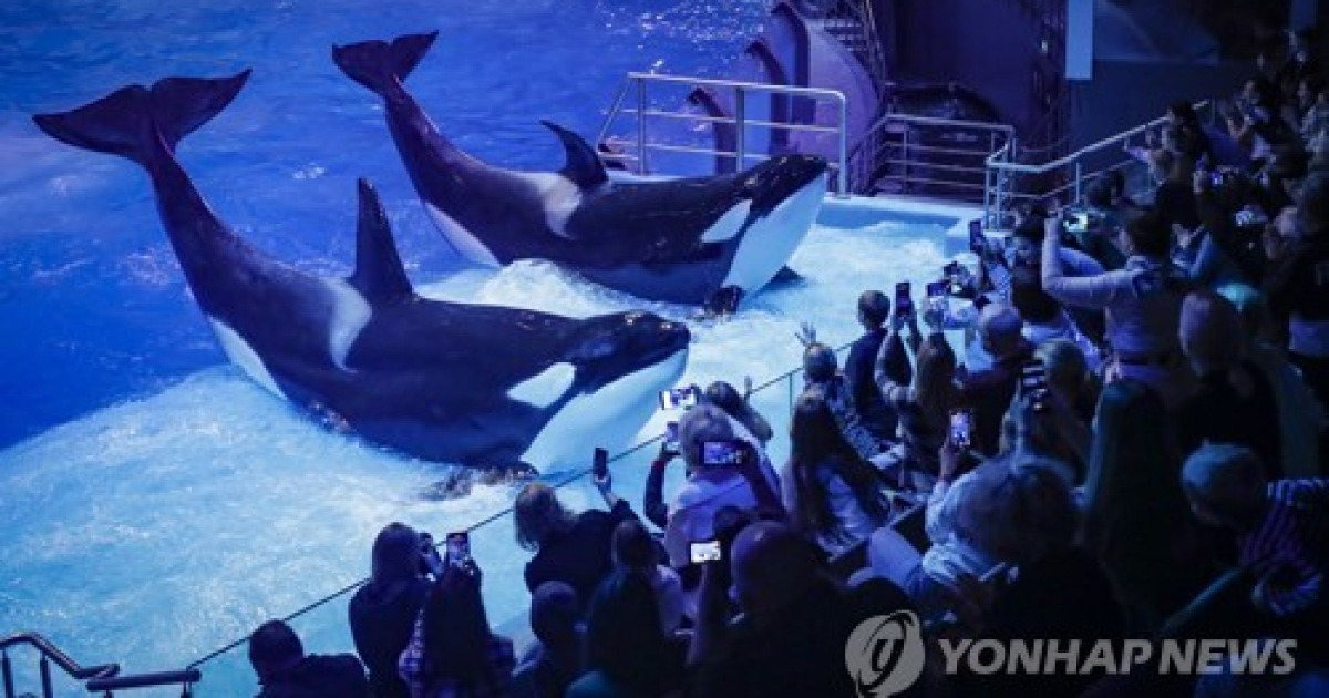 RUSSIA MOSCOW OCEANARIUM SHOW