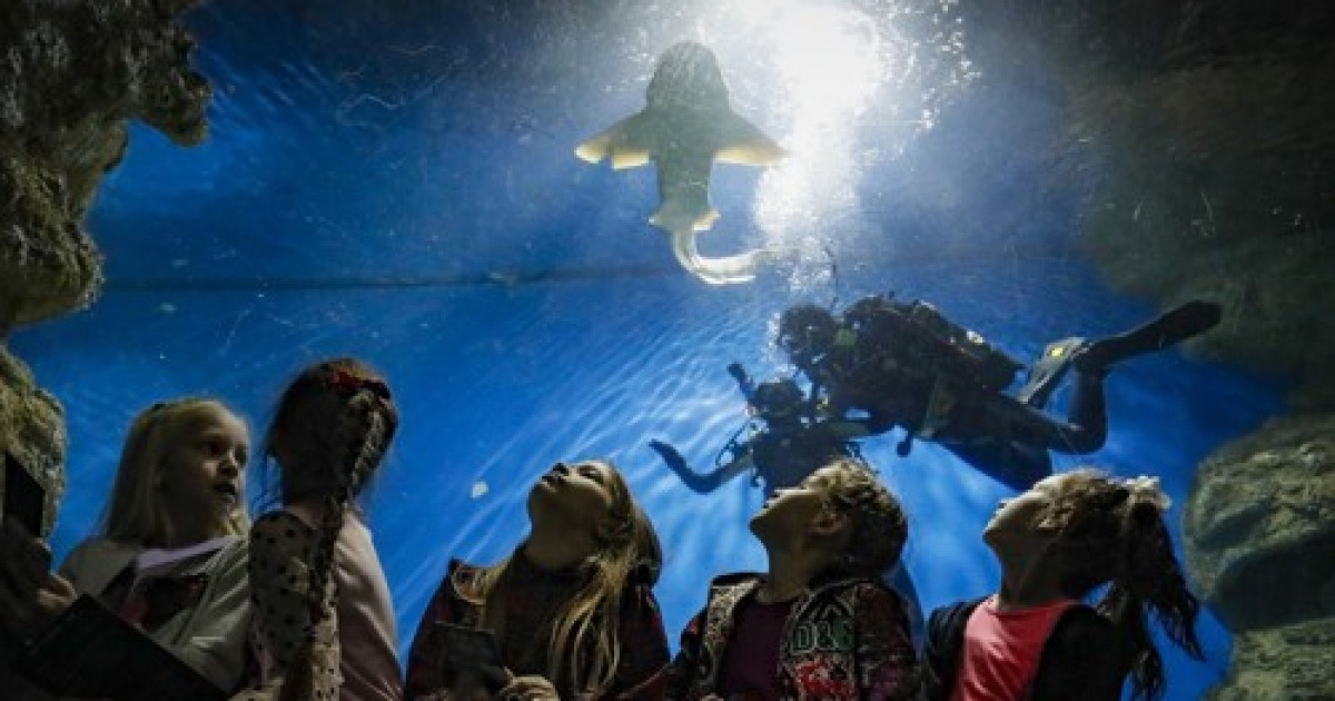 RUSSIA MOSCOW OCEANARIUM SHOW