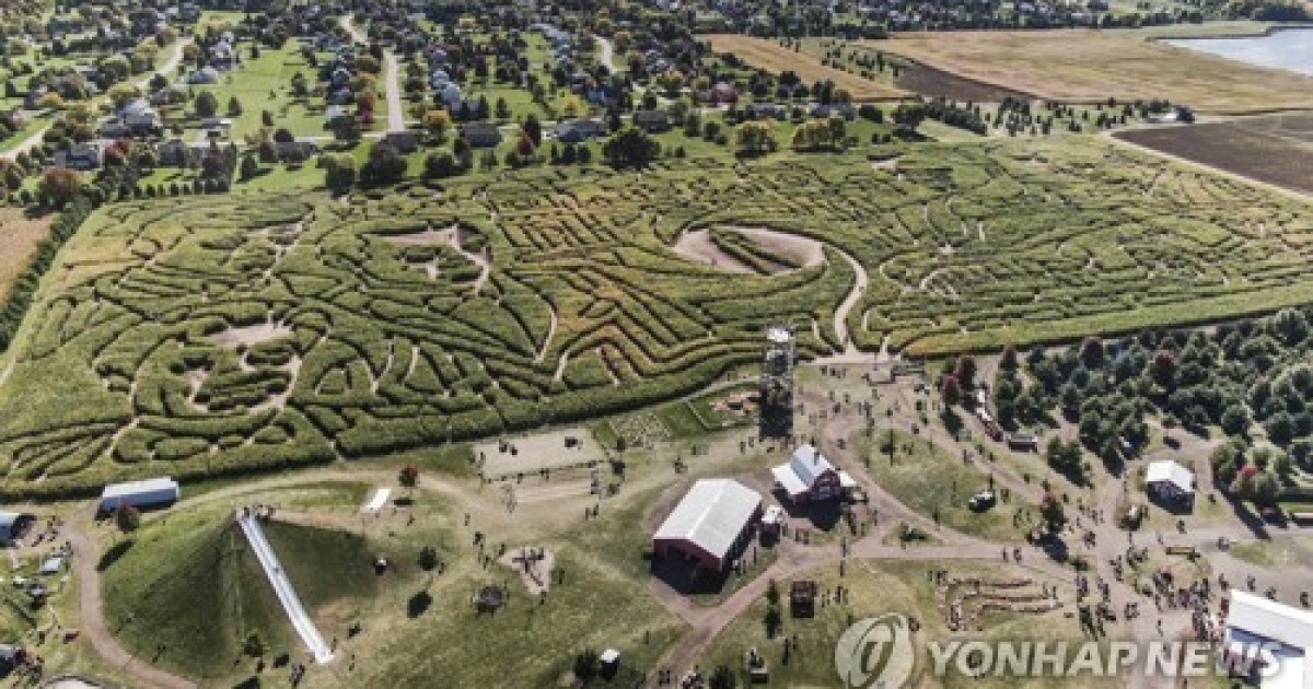 USA CORN MAZE