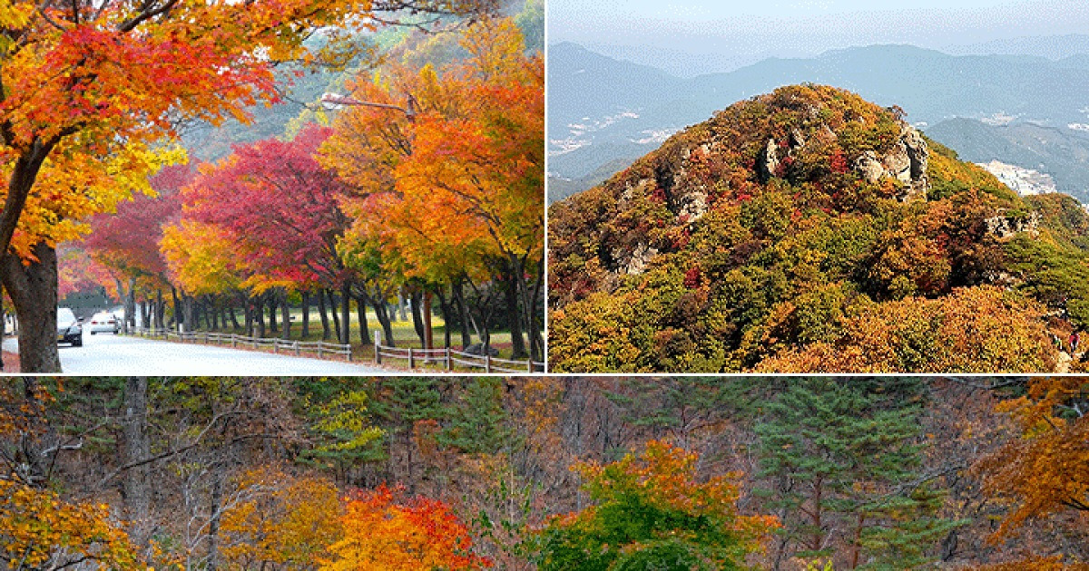슬슬 갈 준비해야 하는 전국 단풍 등산명소 모음집 자취생으로 살아남기