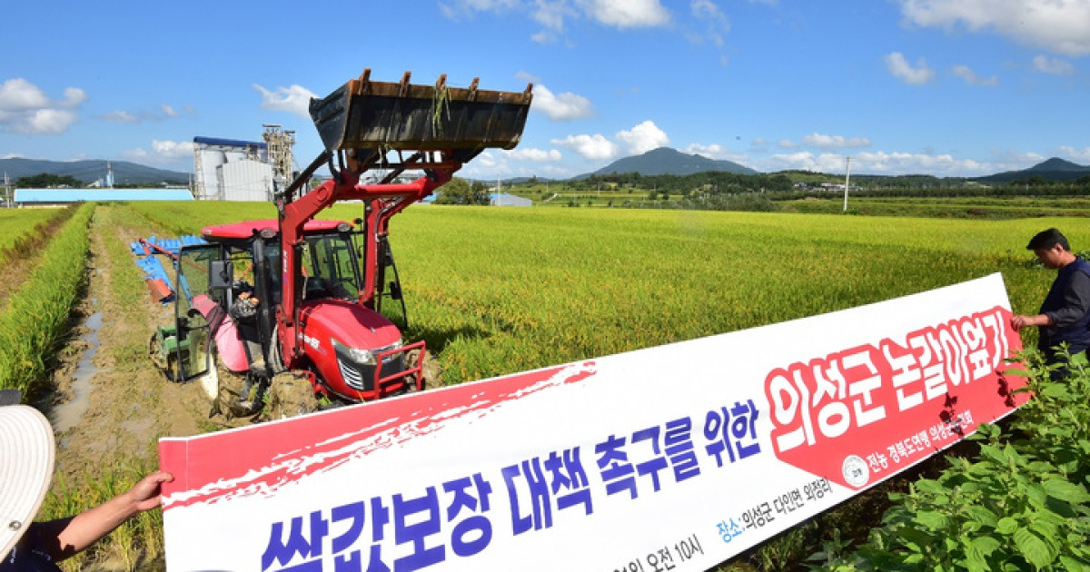 경북도, 공공비축미 9만여t 이어 시장격리곡 9만t 매입