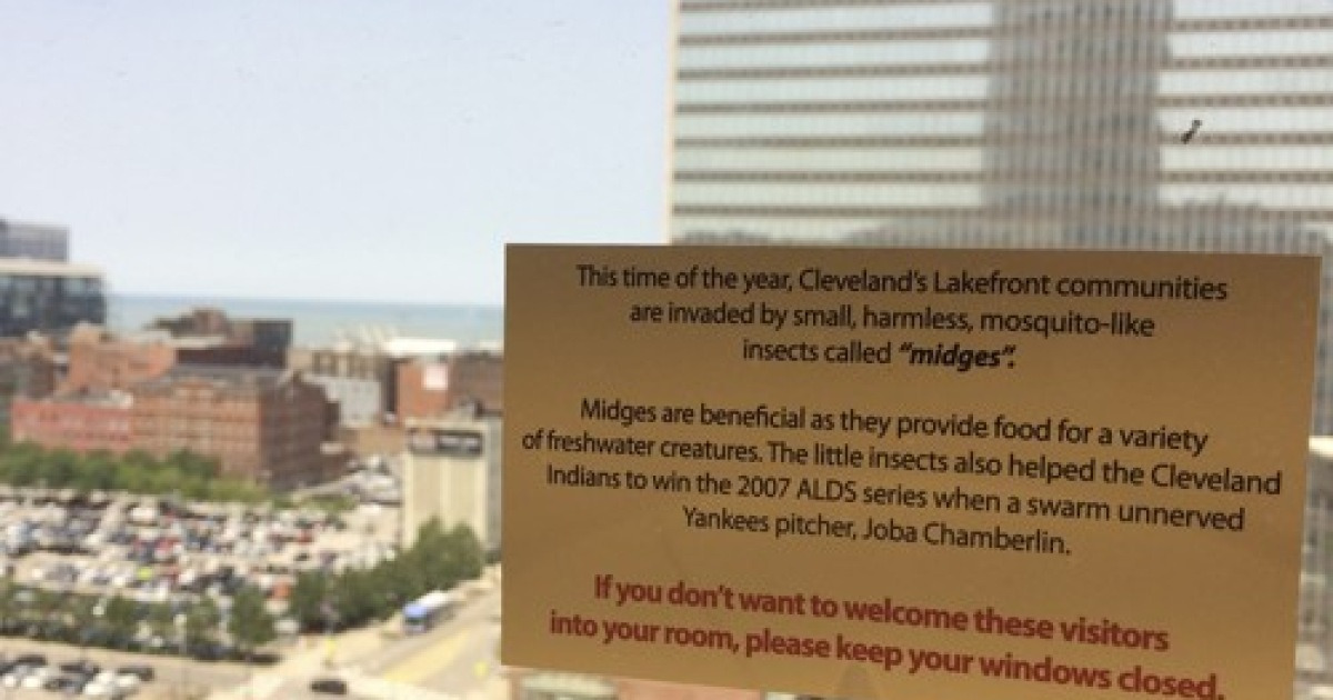 BBA ALDS Midges Baseball