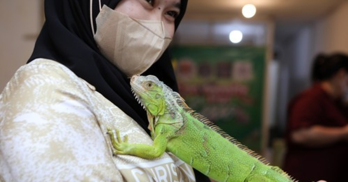 INDONESIA PET EXEBITION