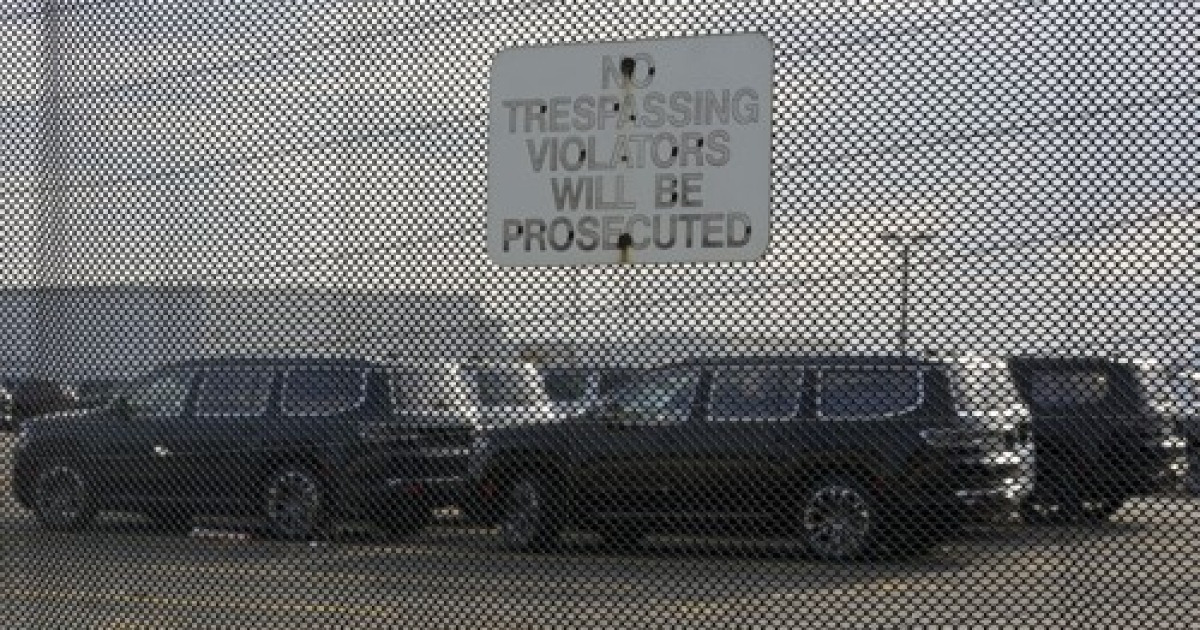 Muscle Car Theft Ring