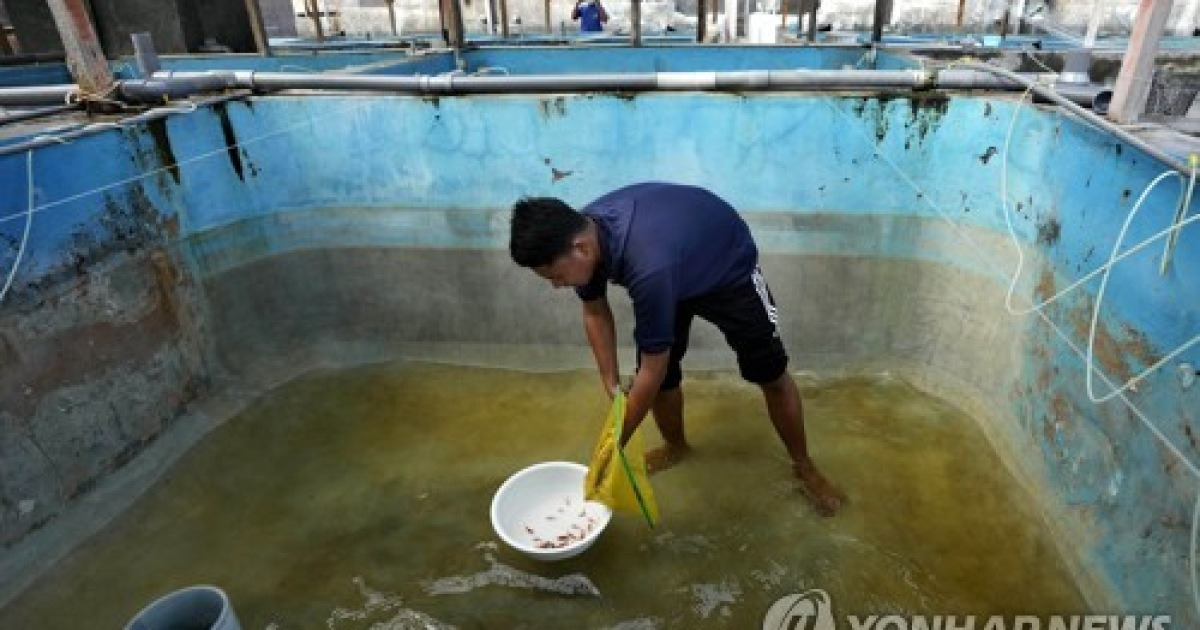 Aquarium Fish-Captive Breeding