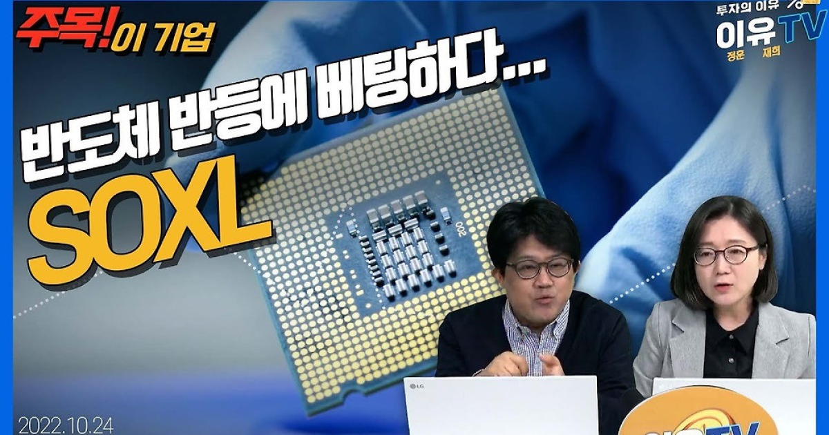 서학개미 매수 몰린다..'반도체 3배 베팅' SOXL, 살 만할까 (영상)