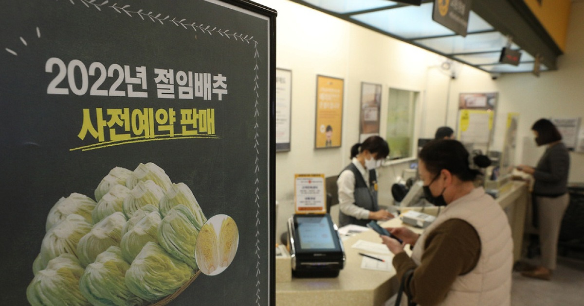 김장철 앞두고 마트 절임 배추 매출 상승