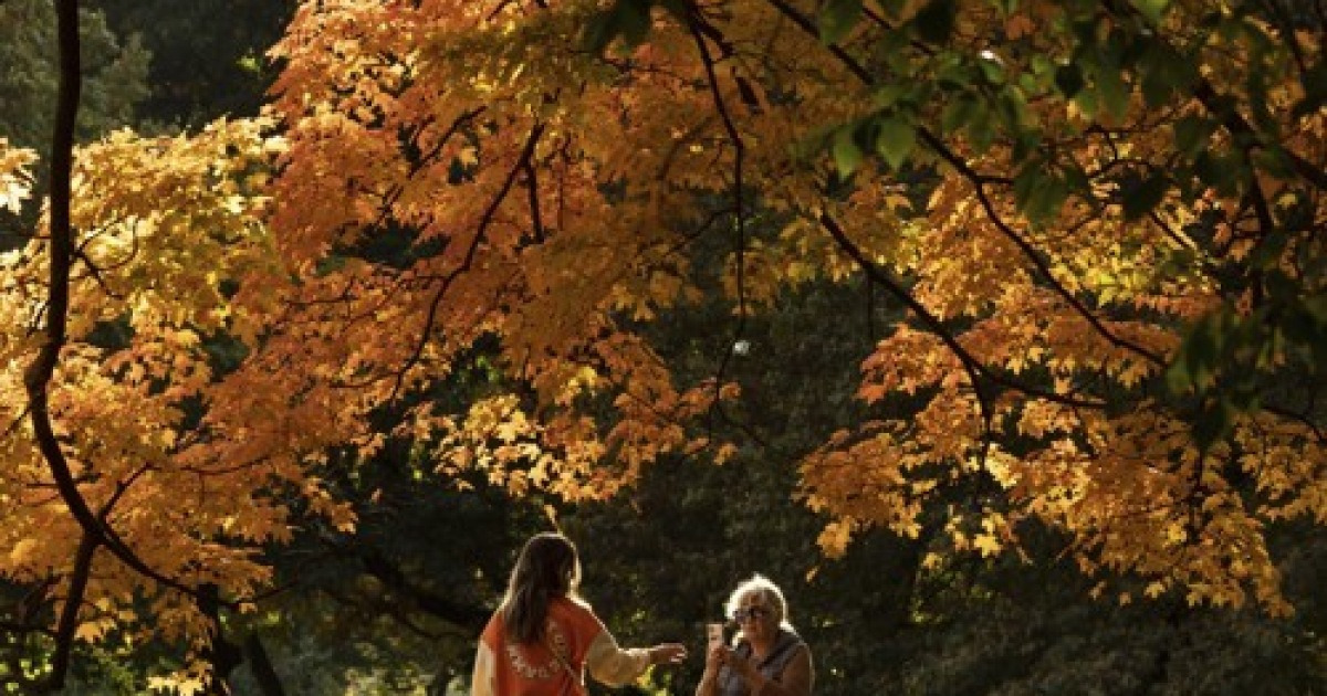 New York Fall Foliage