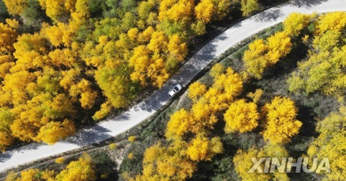 #CHINA-AUTUMN-SCENERY (CN)
