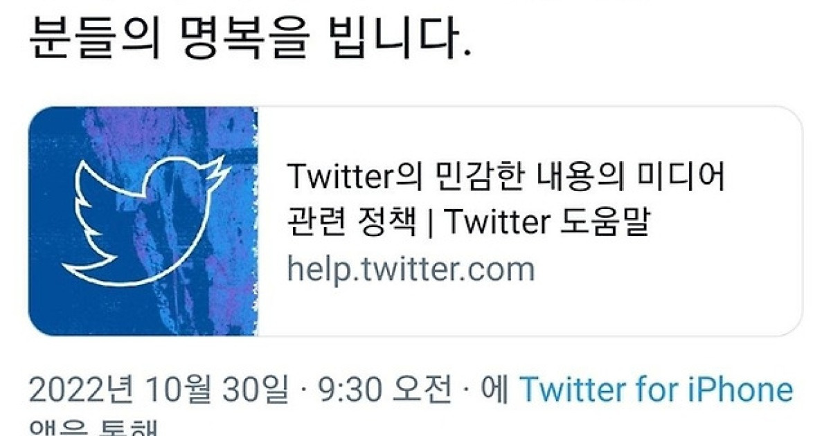 [이태원 참사] 소셜미디어·포털 피해자영상·허위사실 유포 자제해달라