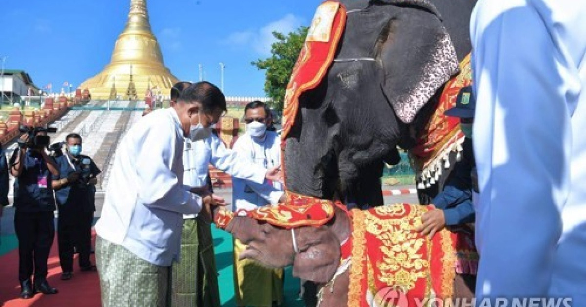 MYANMAR WHITE ELEPHANT