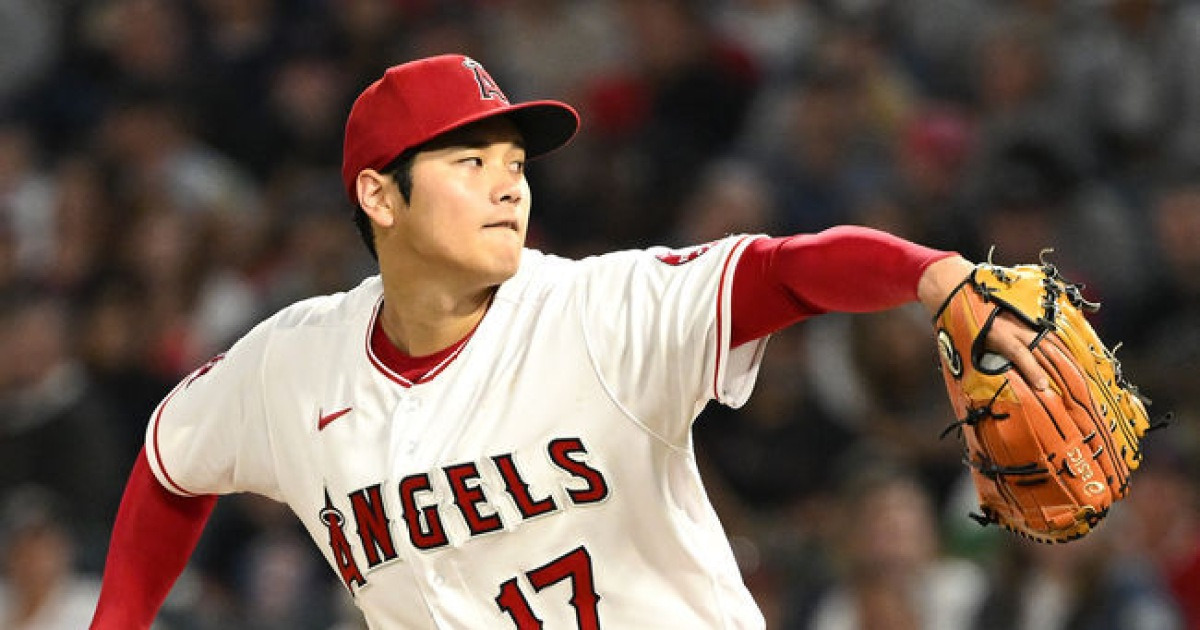 다르빗슈, 오타니, 투수 4관왕, 164km 퍼펙트맨까지...日 내년 WBC 우승 김칫국?