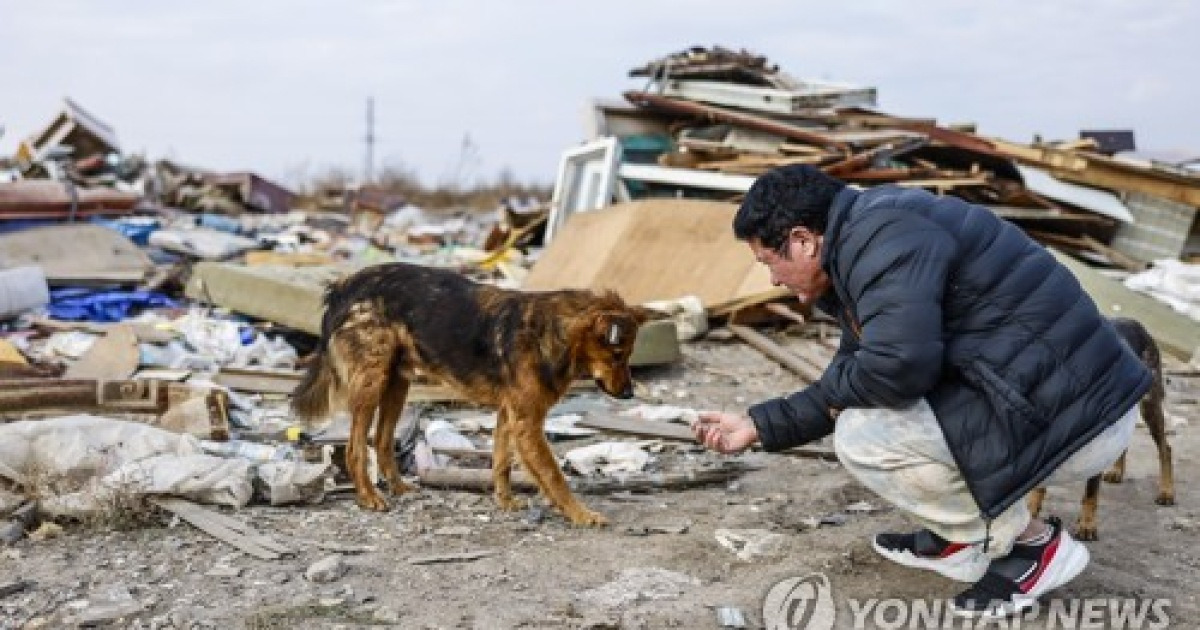 UKRAINE RUSSIA CONFLICT ANIMALS