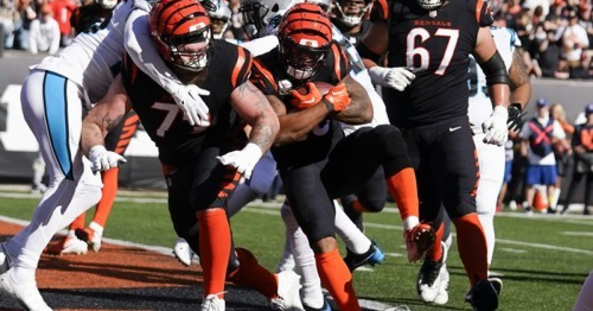 Panthers Bengals Football