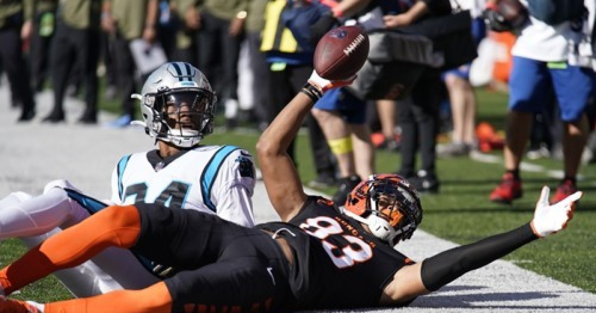 Panthers Bengals Football