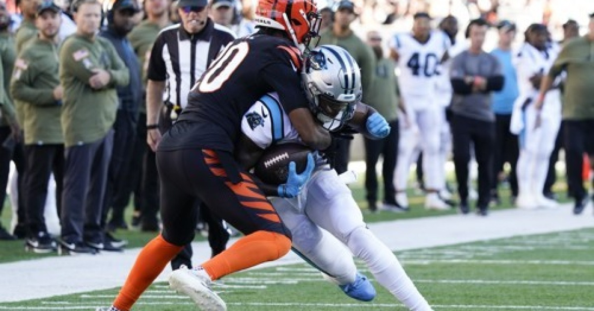 Panthers Bengals Football