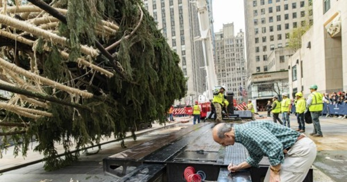 2022 Rockefeller Center Christmas Tree Arrival