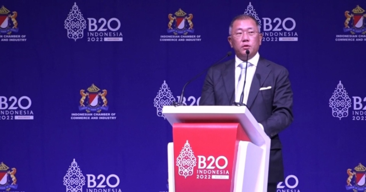 B20 참석한 정의선 "지속 가능한 에너지 솔루션 찾아야"