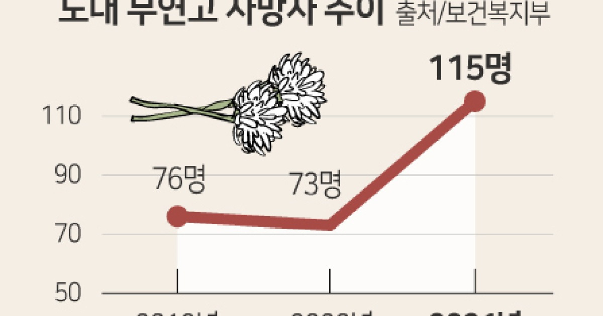 고독한 삶·쓸쓸한 죽음… 도내 무연고 사망 절반이 노년층