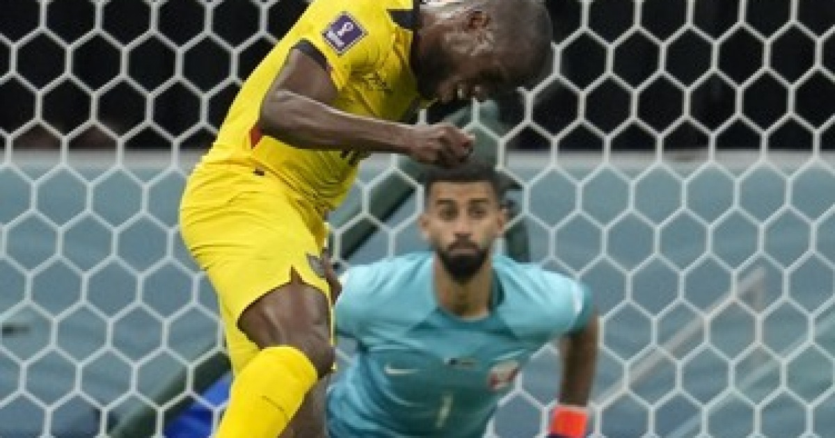 WCup Qatar Ecuador Soccer