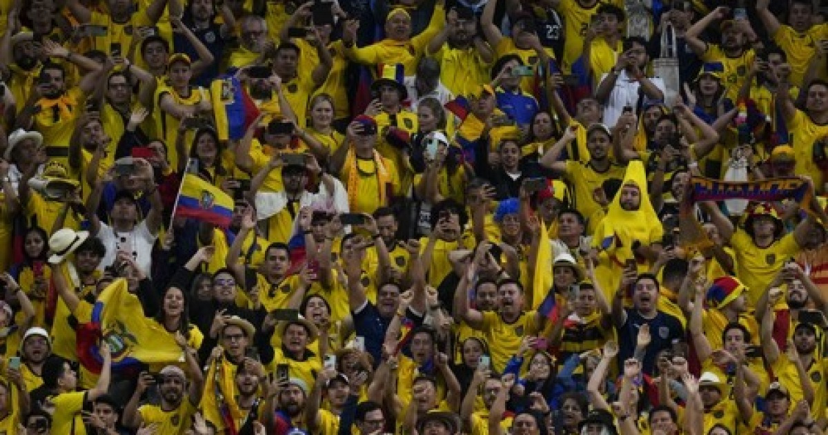 WCup Qatar Ecuador Soccer
