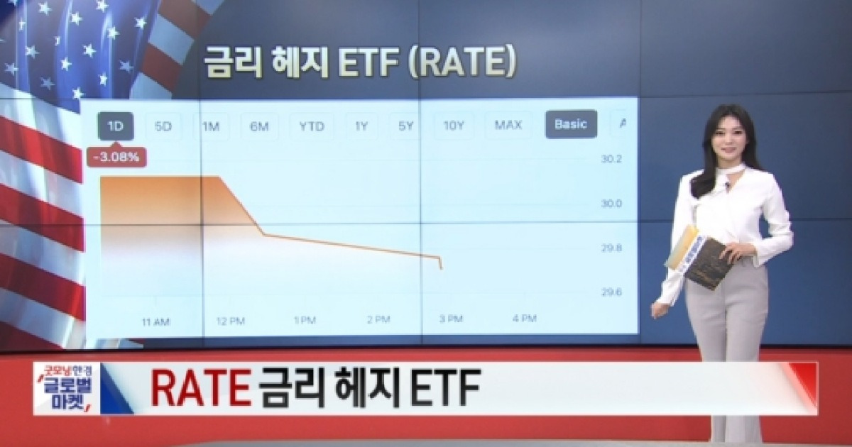 11월 23일 ETF 시황...RING·RYE 강세 [글로벌 시황&이슈]