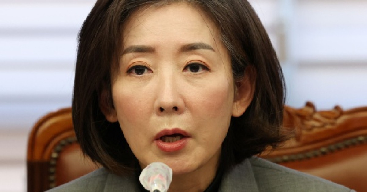 Na Kyung-won Speaks on Rumors of Han Dong-hoon as Party Leader, “Wouldn ...