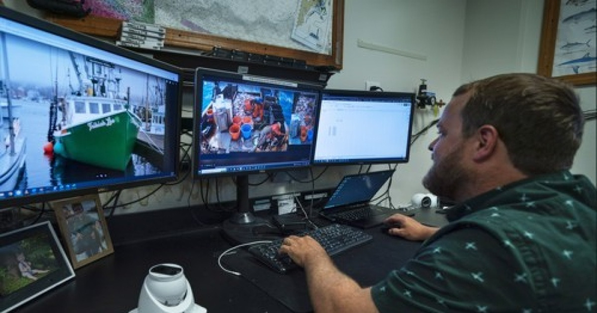 Ocean Fisheries Camera Observers