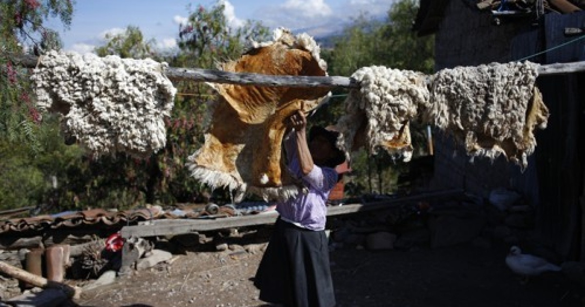 APTOPIX Peru Daily Life