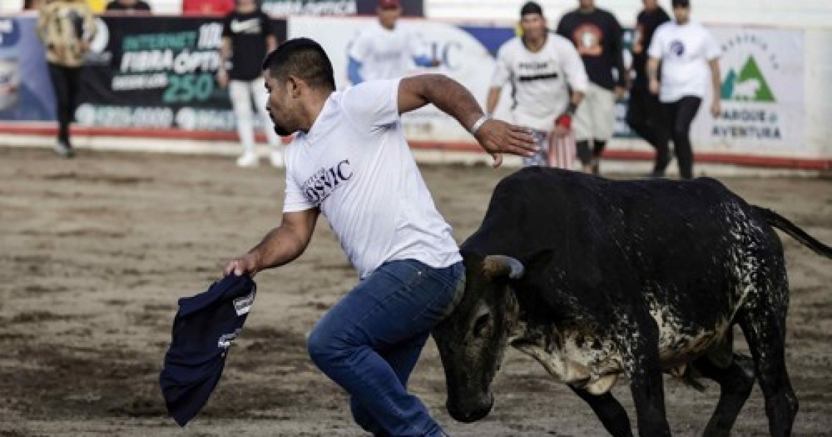COSTA RICA BULLFIGHTING