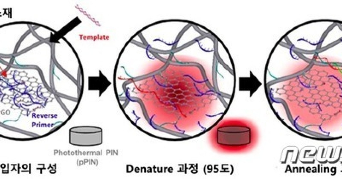 KIST, 초고속 PCR검사 기술 개발…소요시간 '1시간→5분'