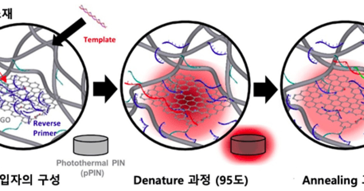 KIST "5분 안에 PCR 검사 결과 확인 기술 개발"