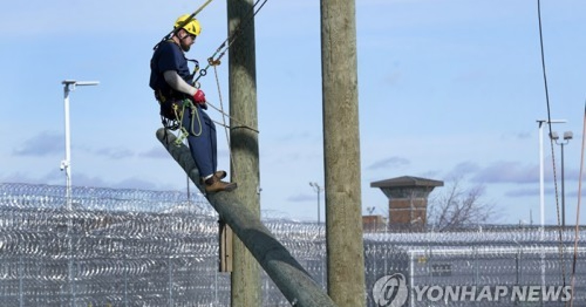 Inmate Tree Trim Training
