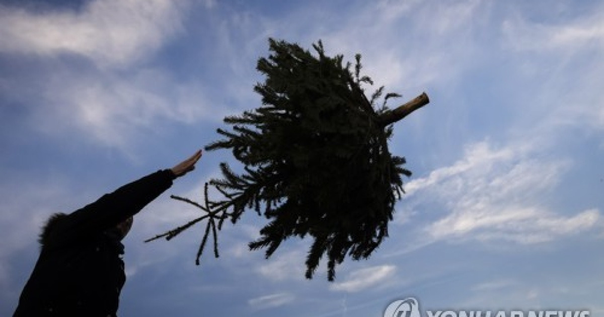 SWITZERLAND CHRISTMAS TREE THROWING