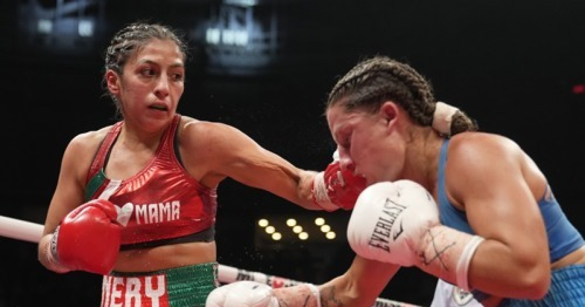 Clavel Nery Plata Boxing