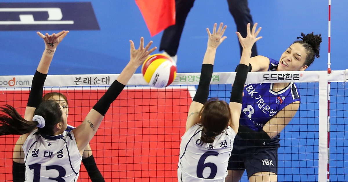 '산타나 23점' IBK, 도로공사 셧아웃 완파…OK금융, KB손보 제압(종합)