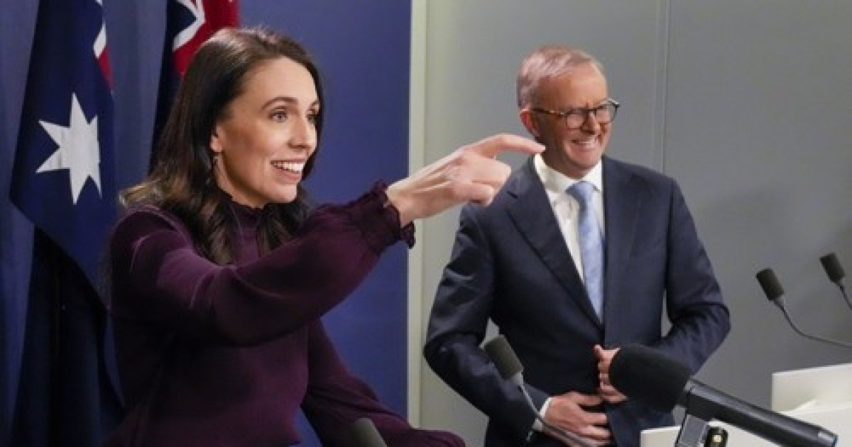 New Zealand Politics