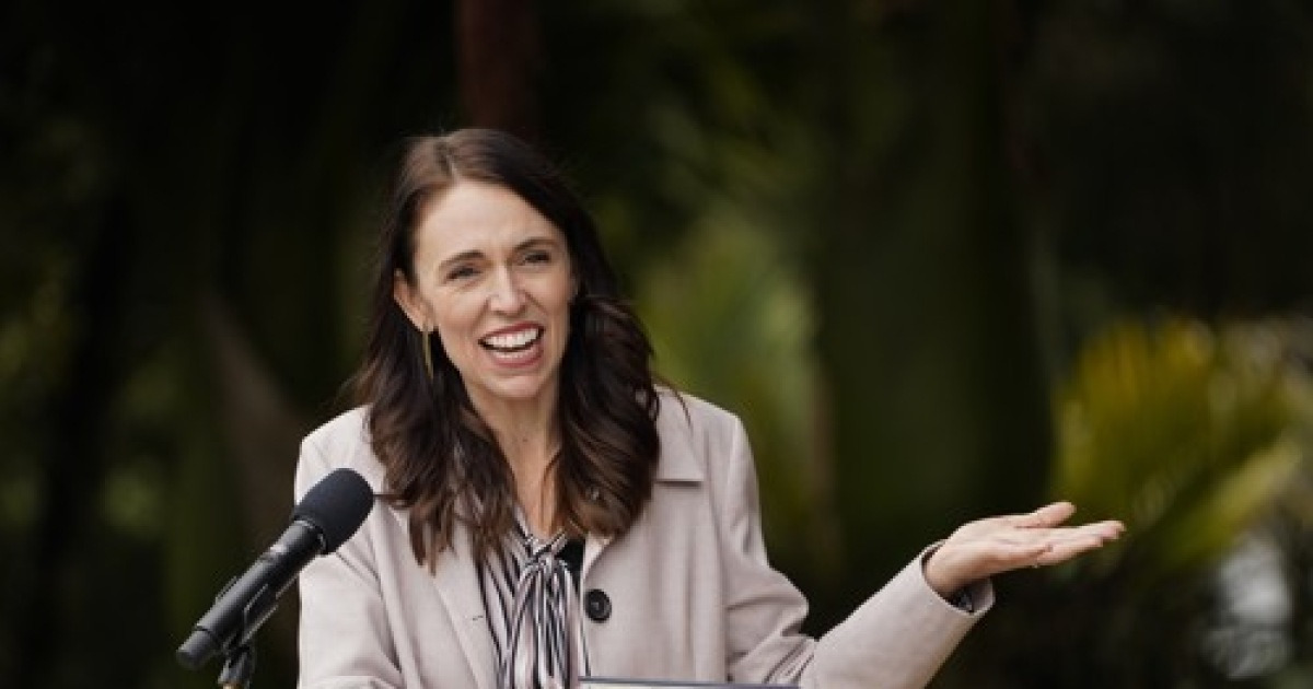 New Zealand Politics