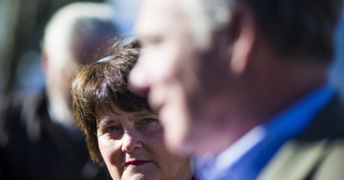 Election 2024 Virginia Senate