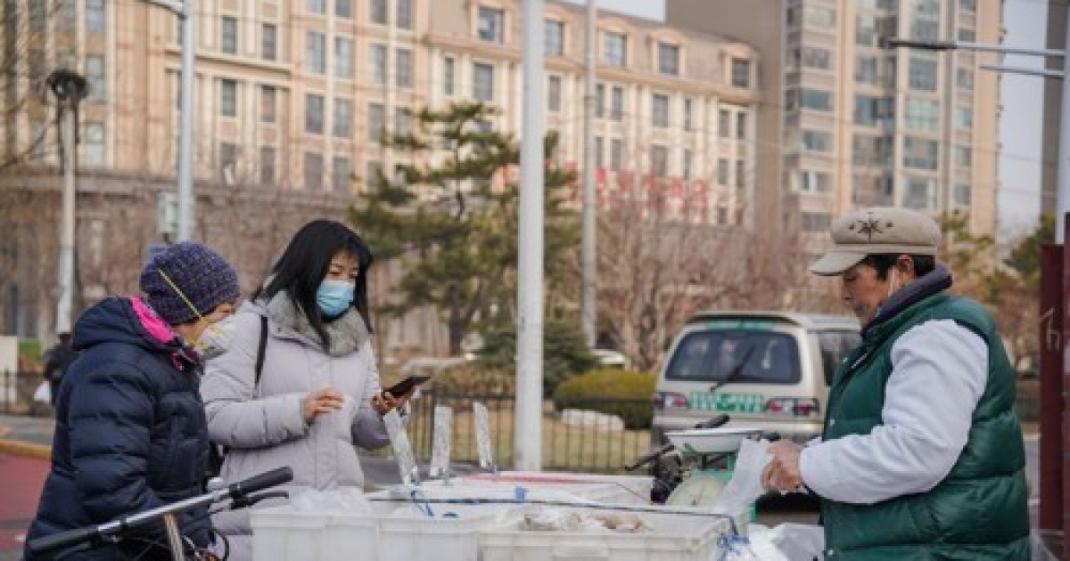 CHINA MACRO ECONOMICS