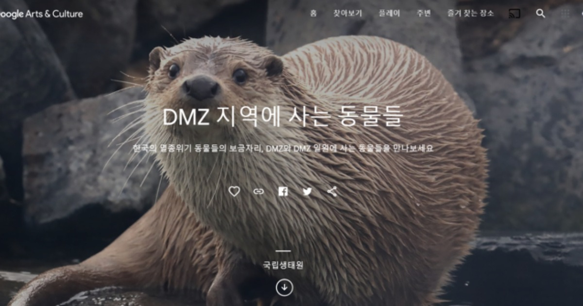 CNN “남북한 가르는 DMZ는 야생동물의 천국”